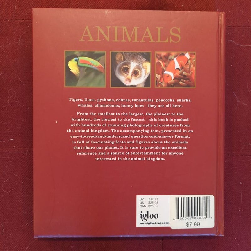 Animals by Nathan Hamilton, Hardcover | Pangobooks