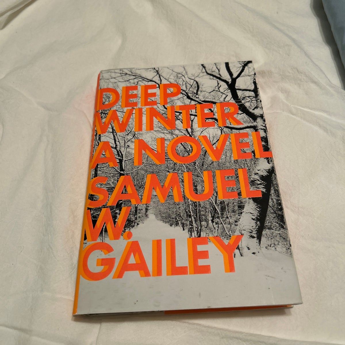 Deep Winter by Samuel W. Gailey, Hardcover | Pango Books