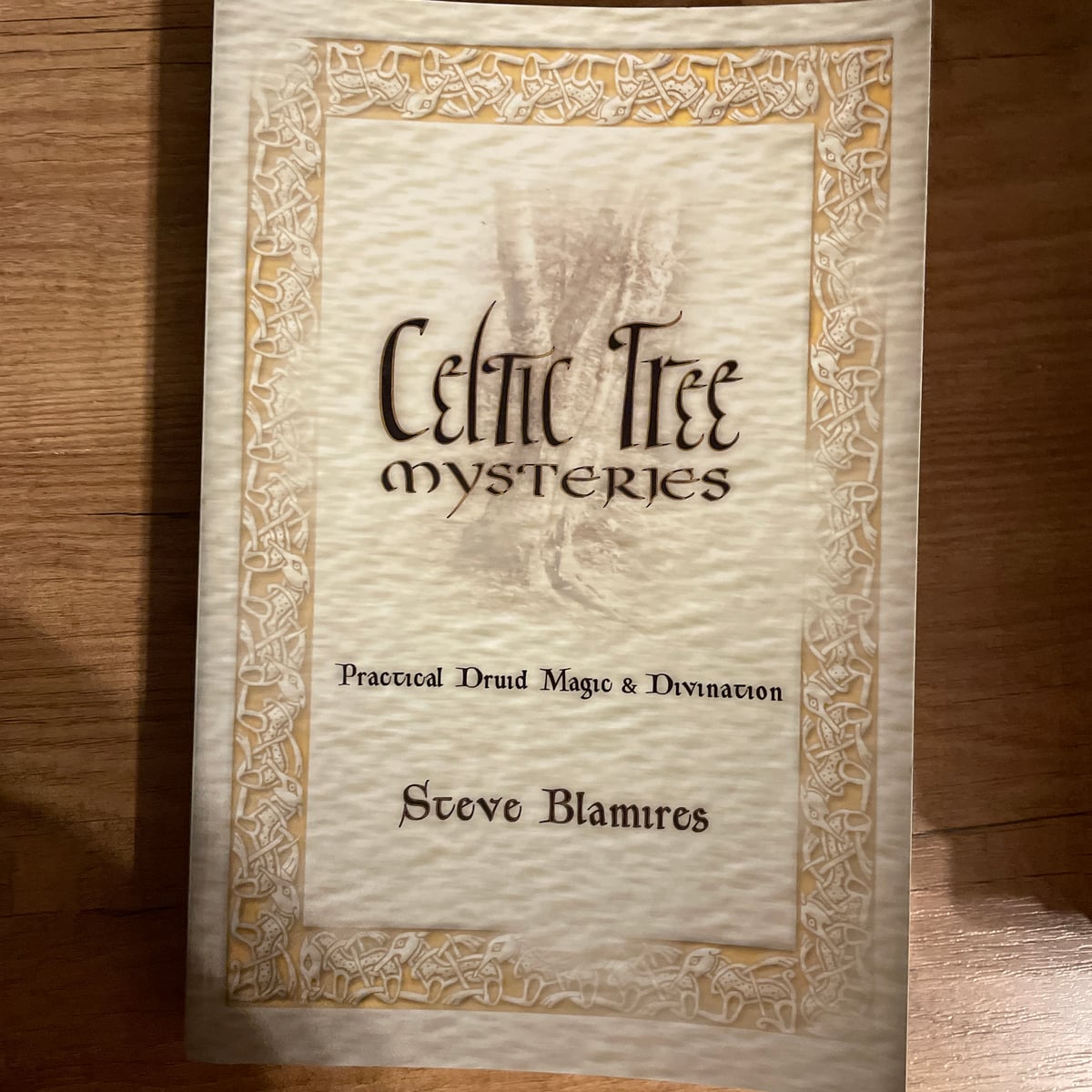 Celtic Tree Mysteries by Stephen Blamires