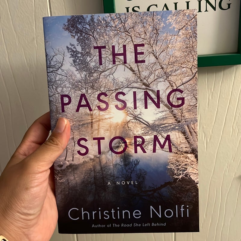 The Passing Storm by Christine Nolfi