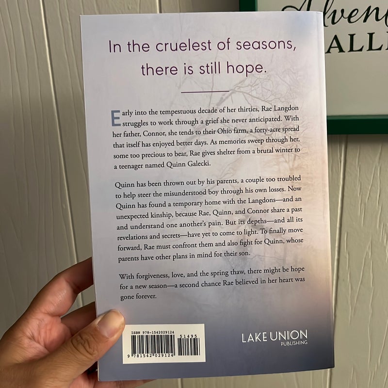 The Passing Storm by Christine Nolfi