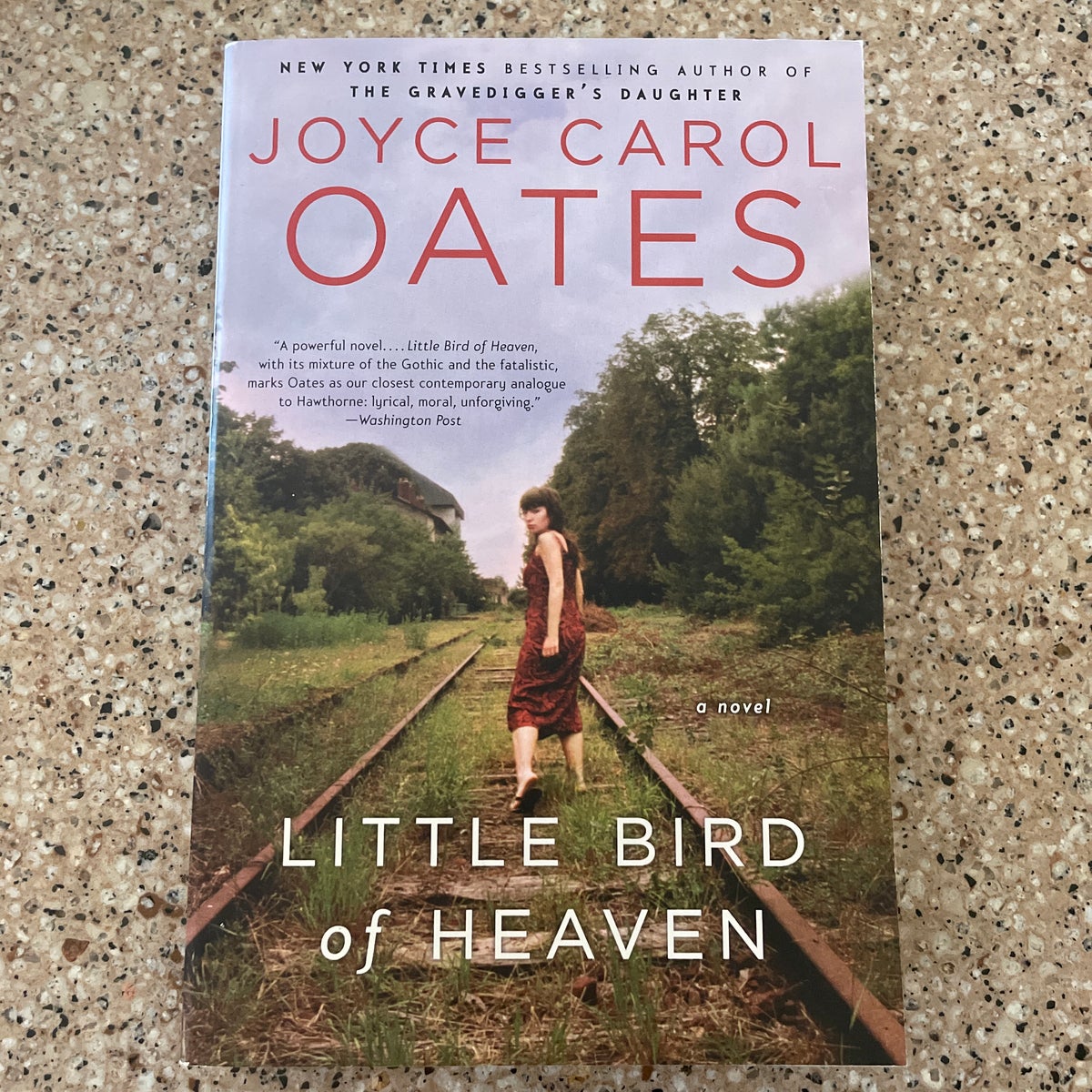 Little Bird of Heaven