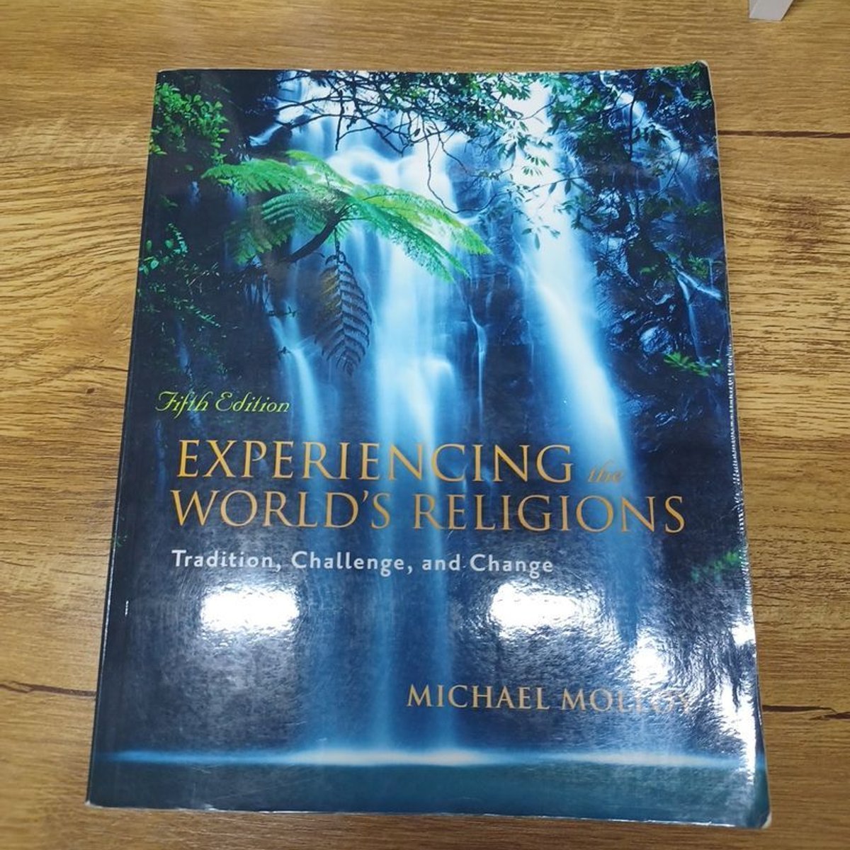 Experiencing the World's Religions by Michael Molloy