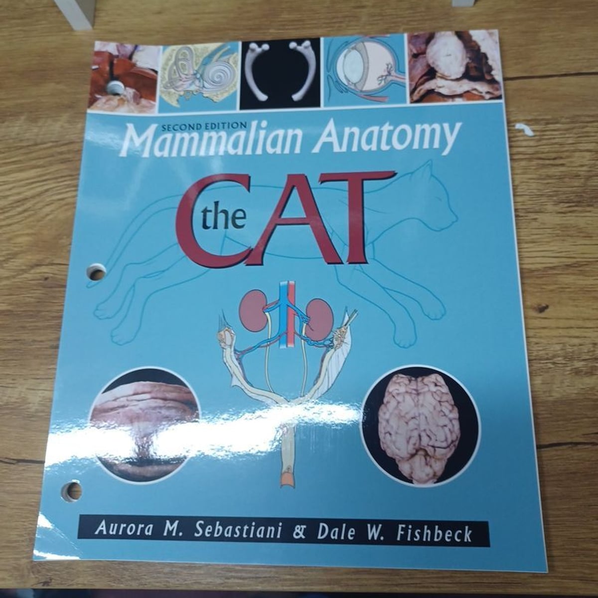 Mammalian Anatomy by Aurora M. Sabastiani, Dale W. Fishbeck
