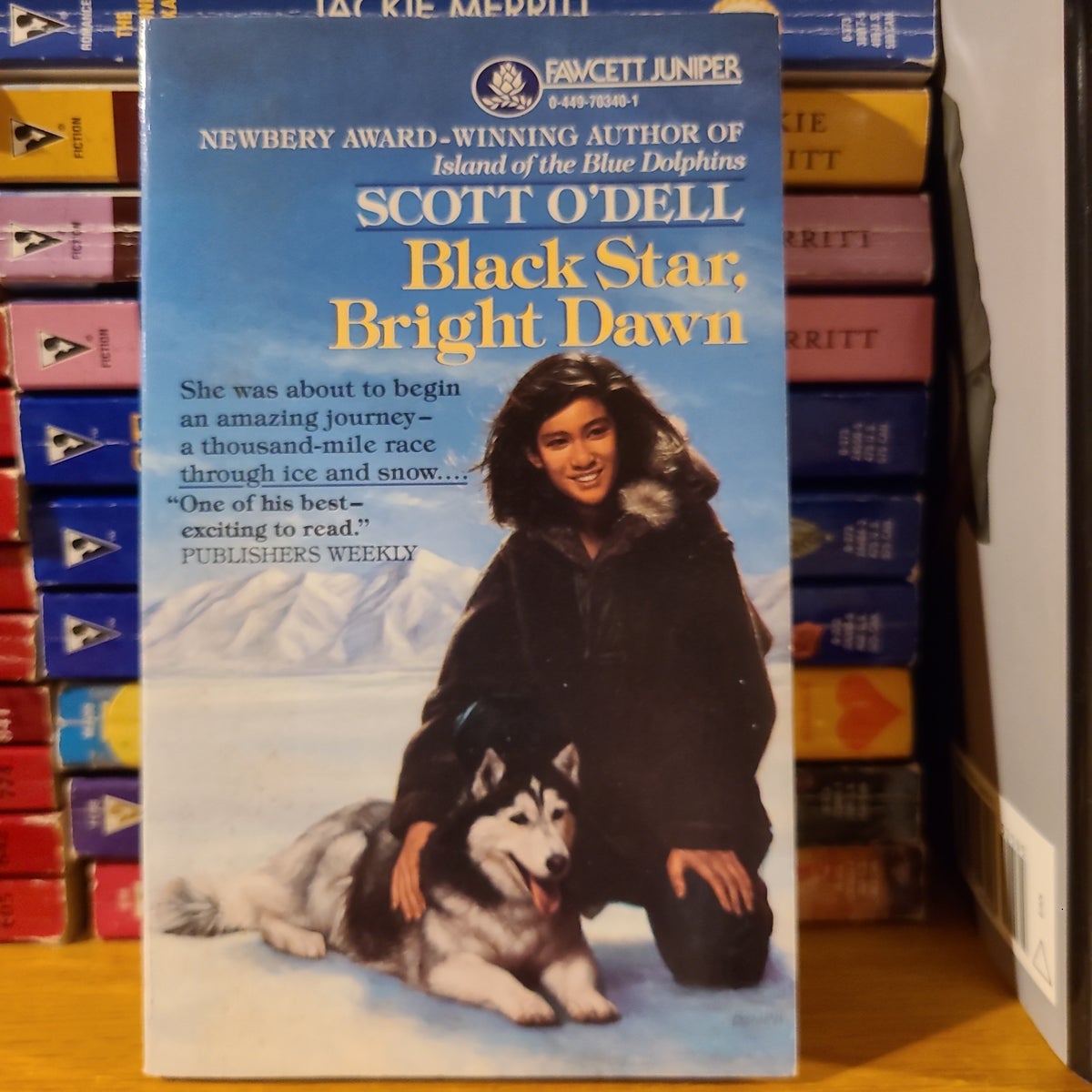 Black Star, Bright Dawn by Scott O'Dell