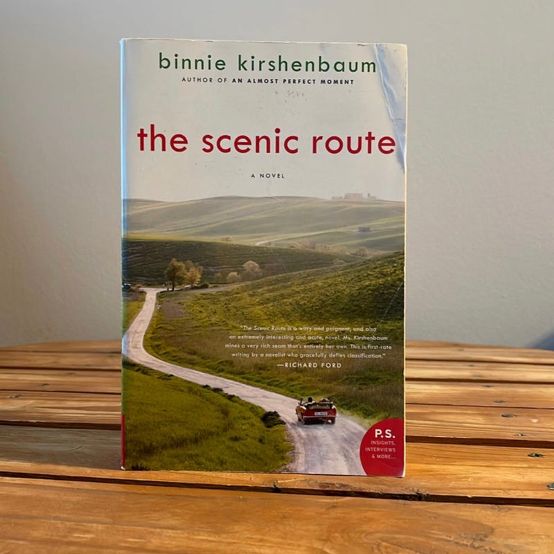 The Scenic Route by Binnie Kirshenbaum, Paperback | Pangobooks