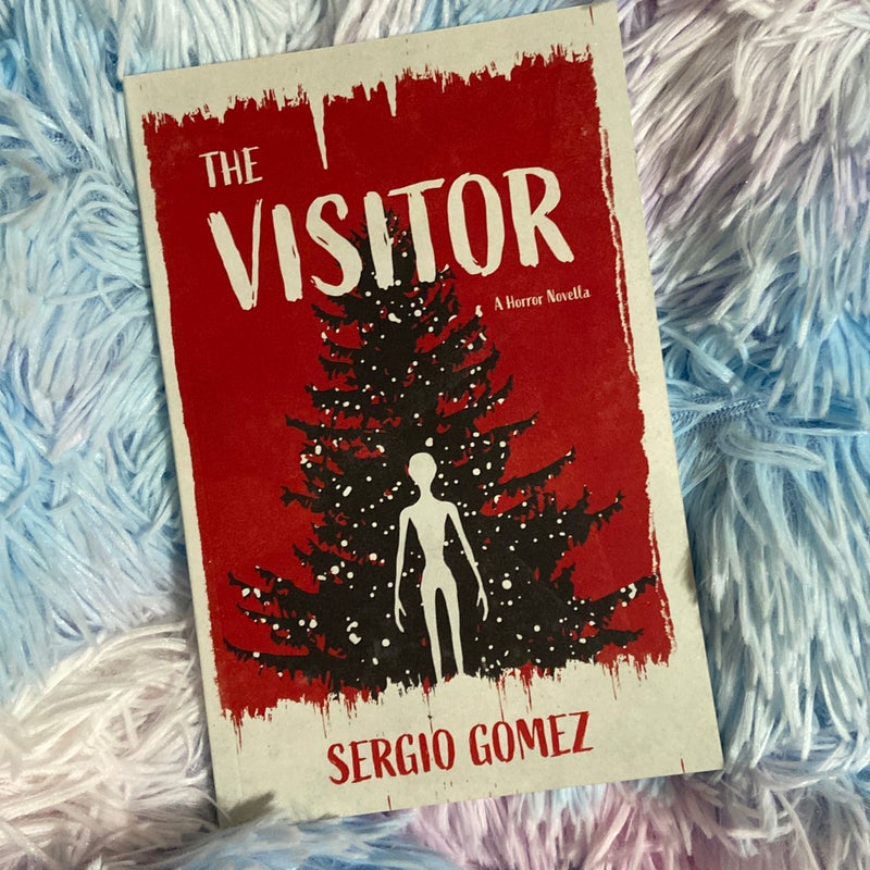 The Visitor