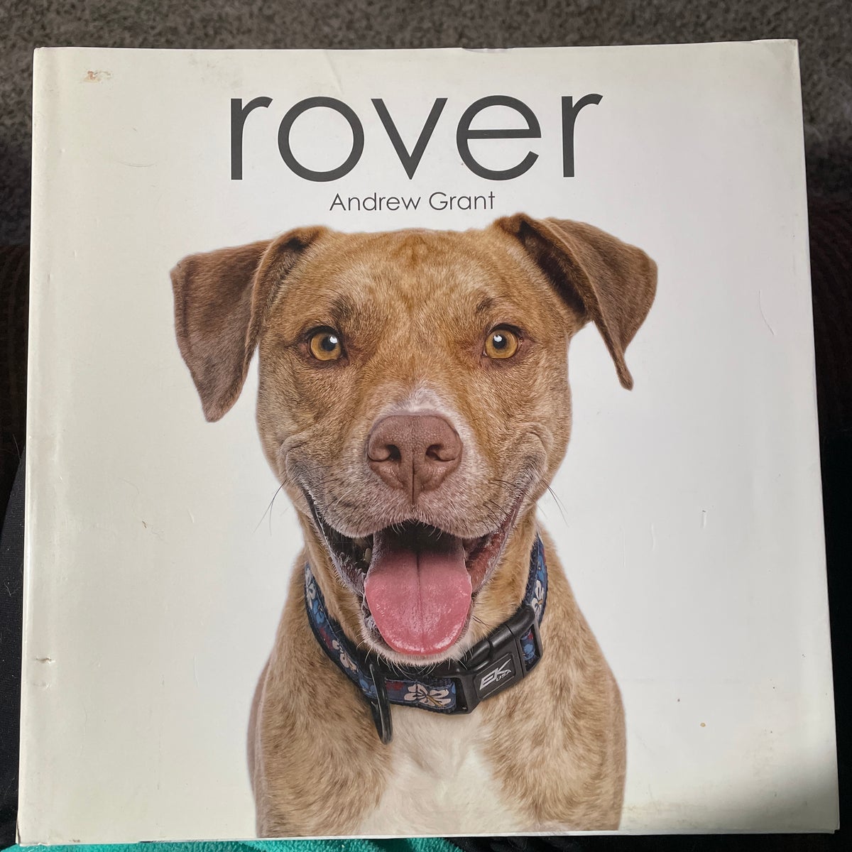 Rover by Andrew Grant, Hardcover | Pangobooks