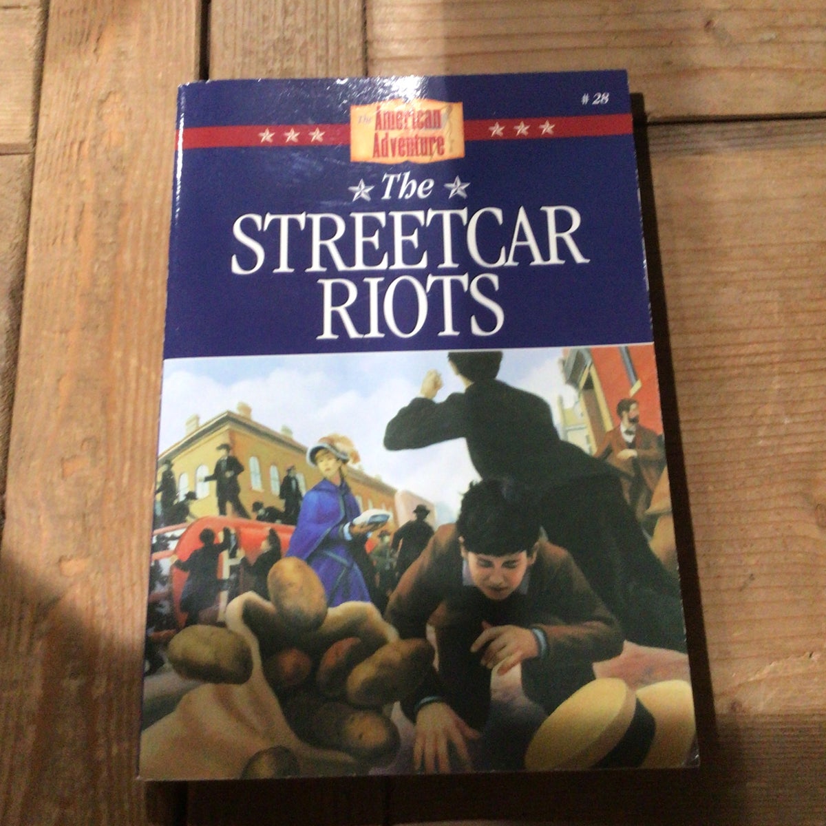 The Streetcar Riots by Susan Martins Miller