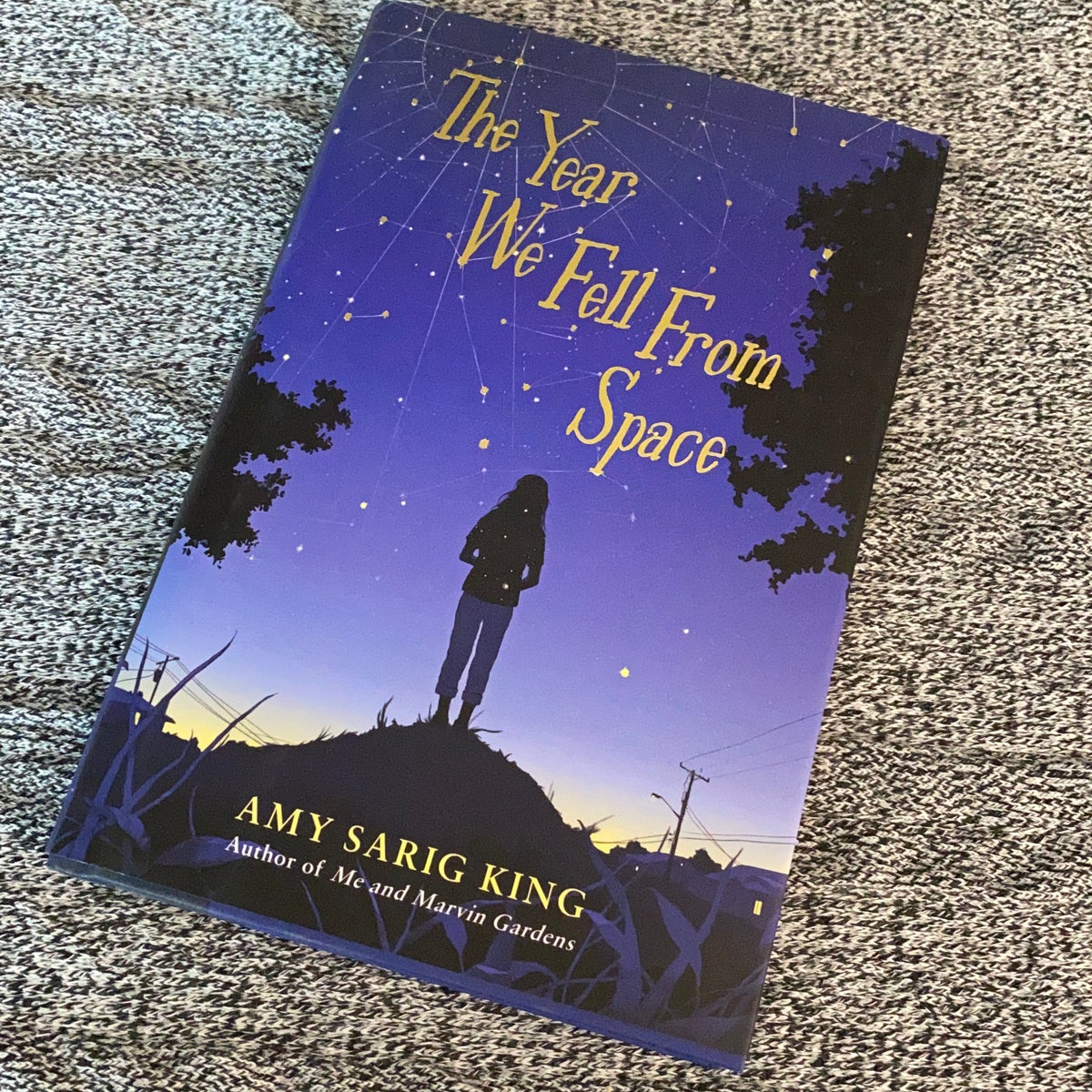 The Year We Fell from Space by Amy Sarig King, Hardcover | Pangobooks