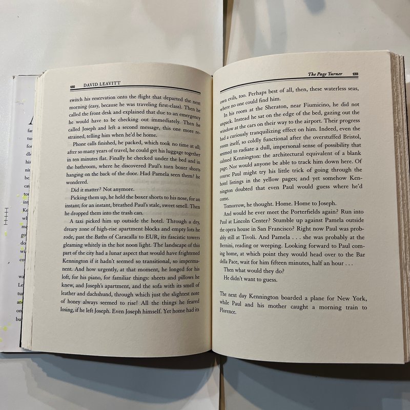 The Page Turner by David Leavitt