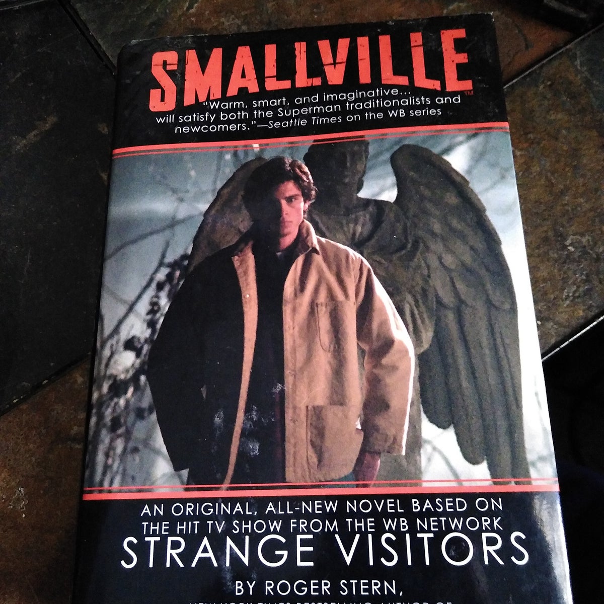 Smallville by Roger Stern, Hardcover | Pangobooks