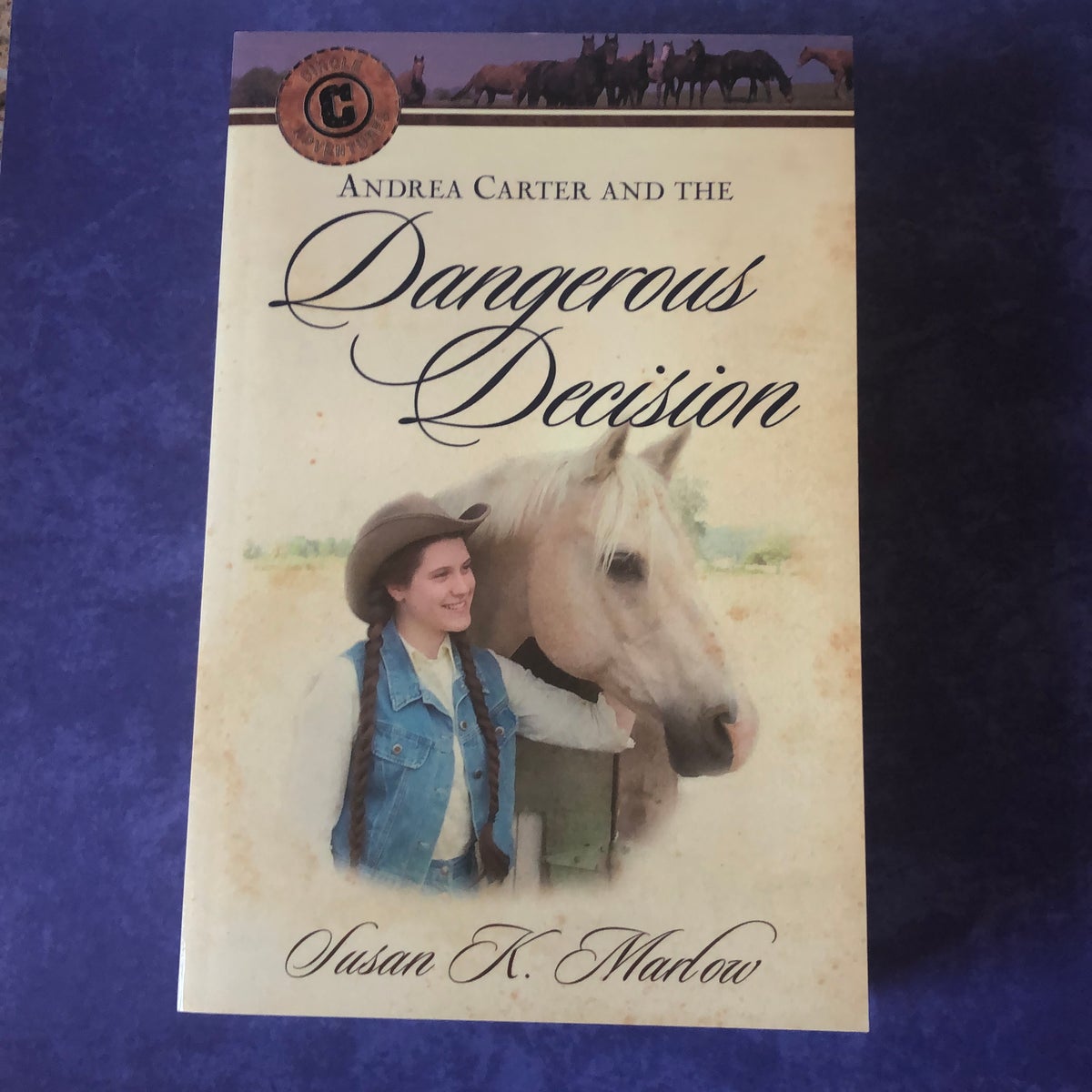 Andrea Carter and the Dangerous Decision by Susan K. Marlow