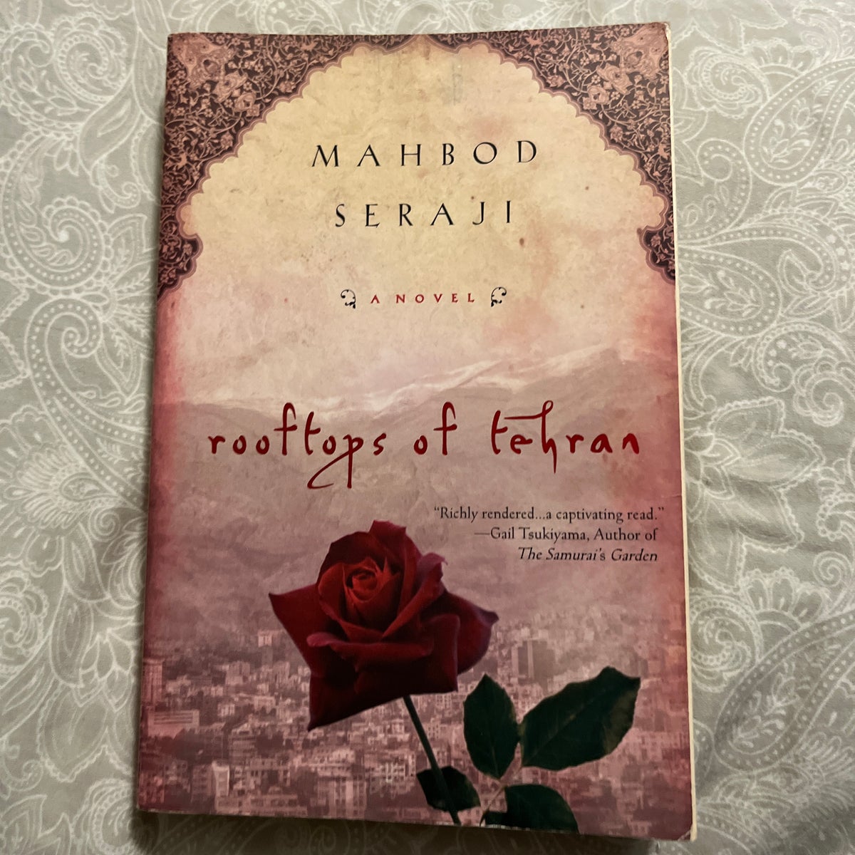 Rooftops of Tehran by Mahbod Seraji