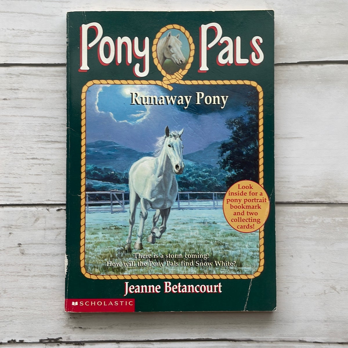 Runaway Pony by Jeanne Betancourt