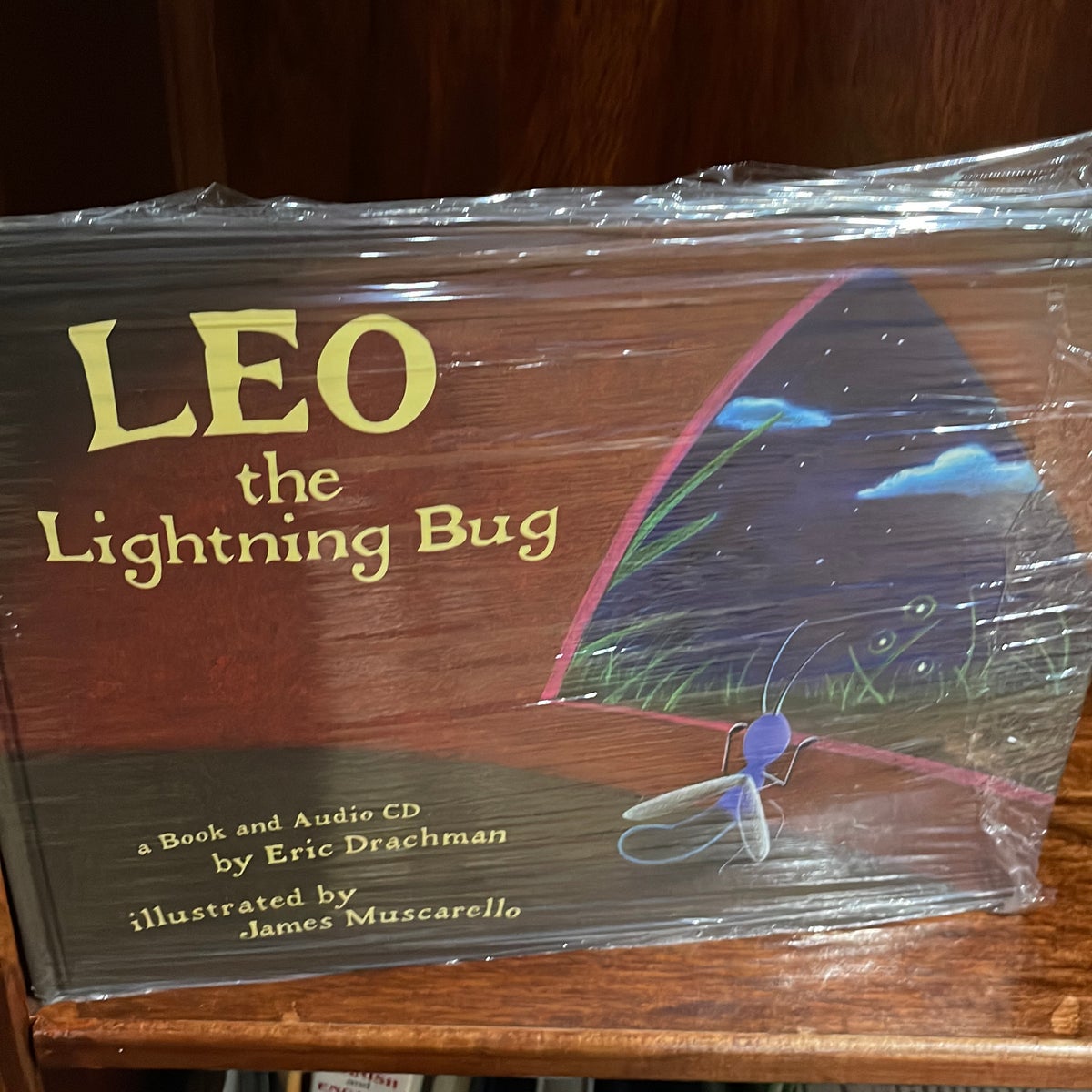 Leo the Lightning Bug by Eric Drachman, Hardcover | Pangobooks