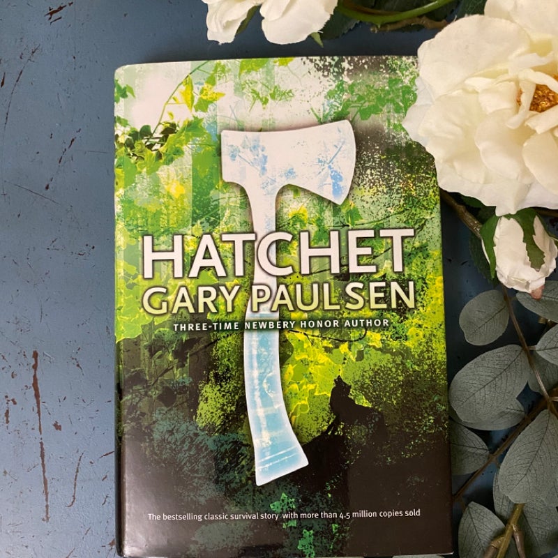 Hatchet by Gary Paulsen, Hardcover | Pangobooks