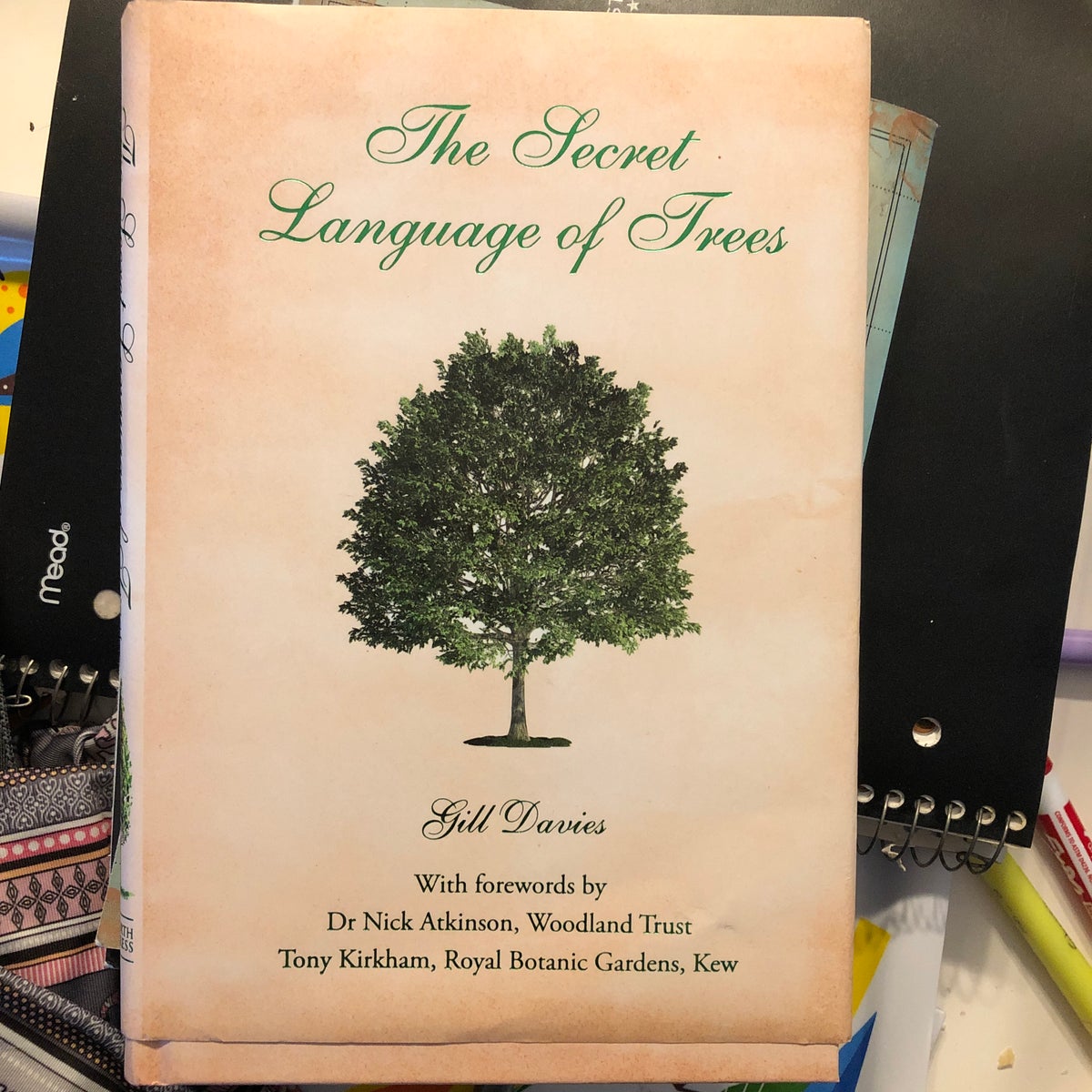 The Secret Language of Trees by Gill Davies