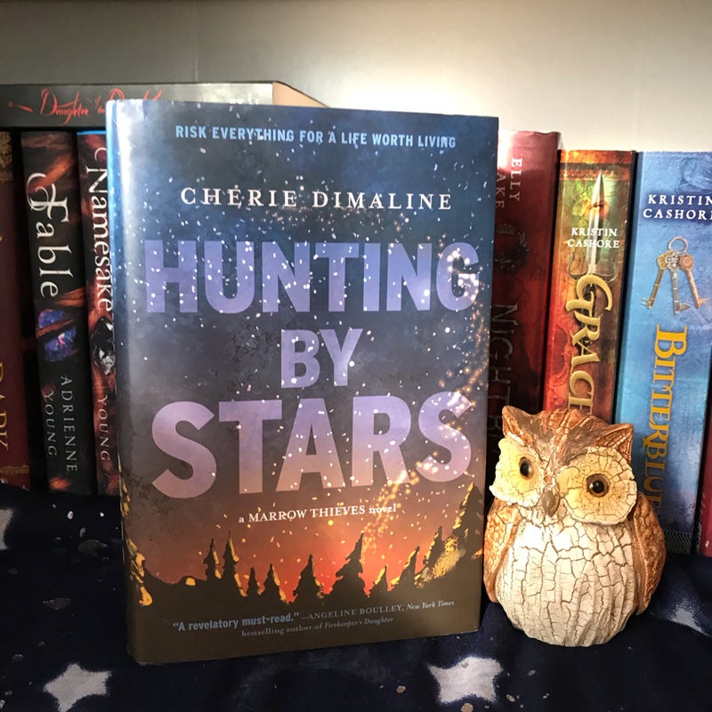 Hunting by Stars (a Marrow Thieves Novel)