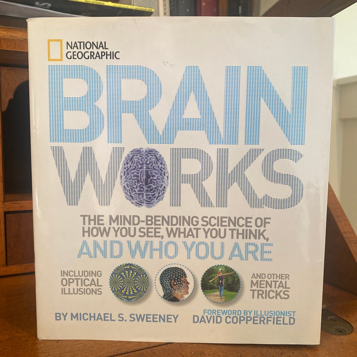 Brainworks by Michael Sweeney, Hardcover | Pangobooks