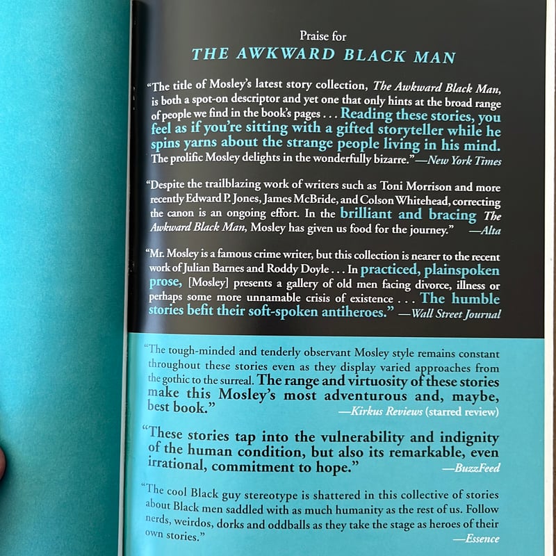 The Awkward Black Man by Walter Mosley, Paperback | Pangobooks