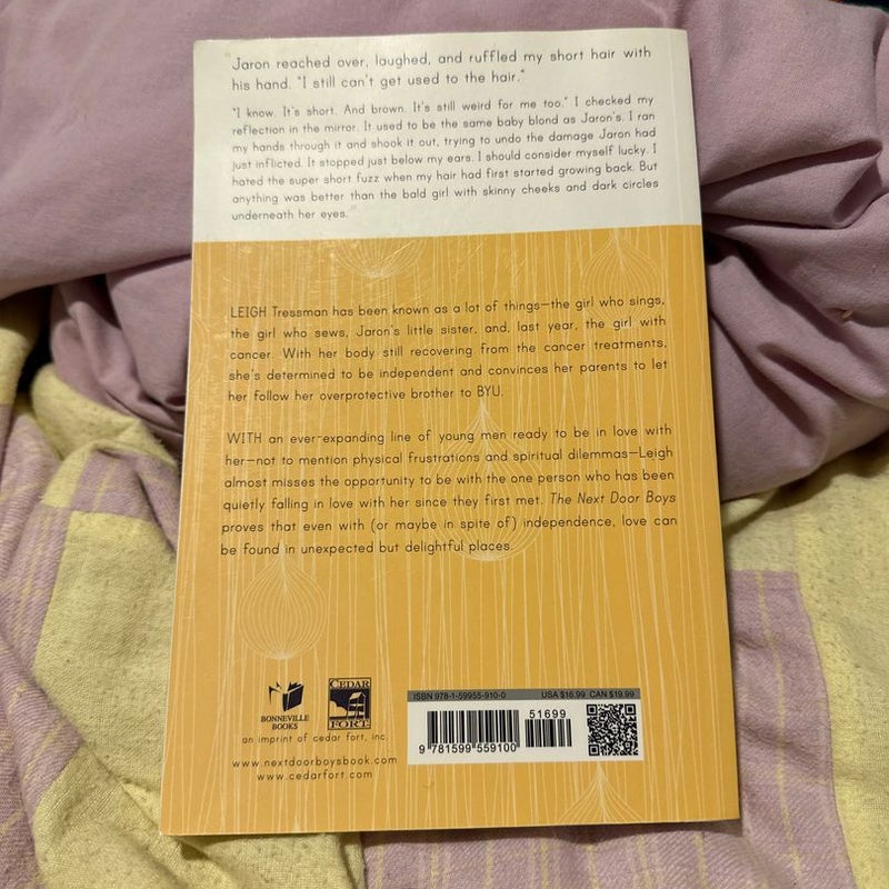 The Next Door Boys by Jolene Perry