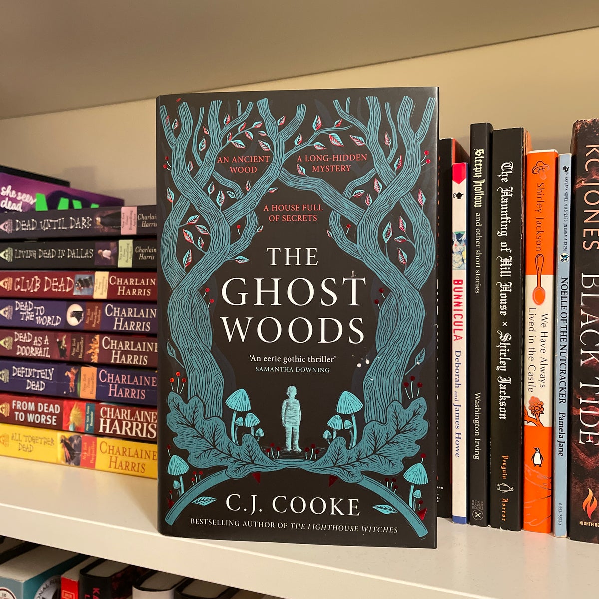 The Ghost Woods by C. J. Cooke