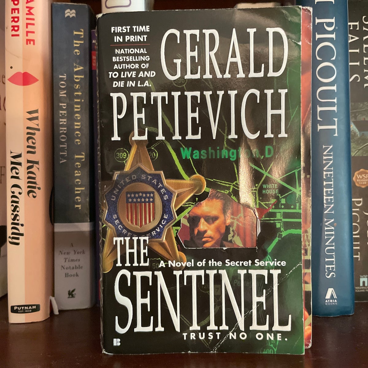 The Sentinel by Gerald Petievich