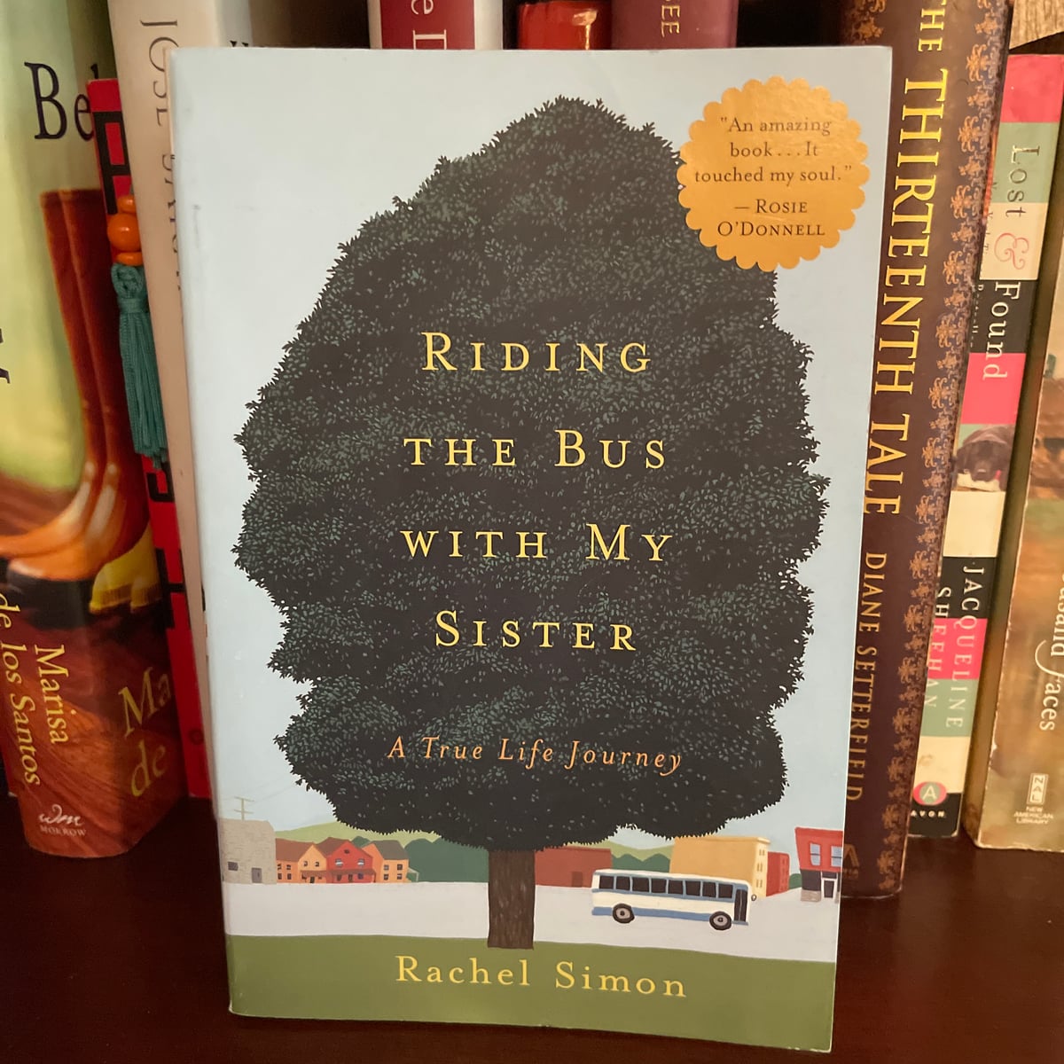 Riding the Bus with My Sister by Rachel Simon