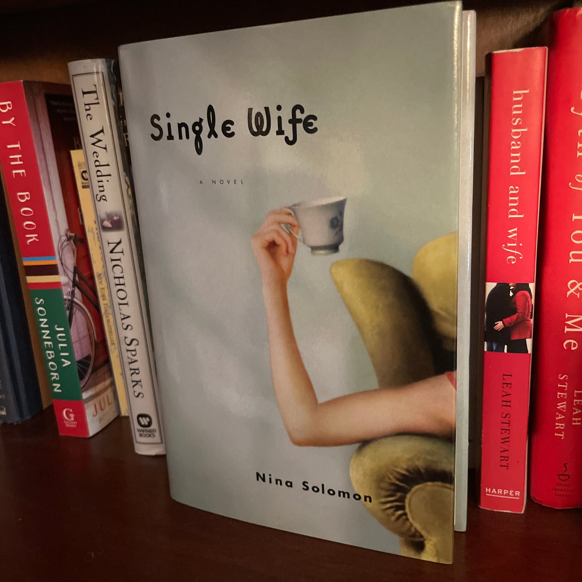 Single Wife by Nina Solomon