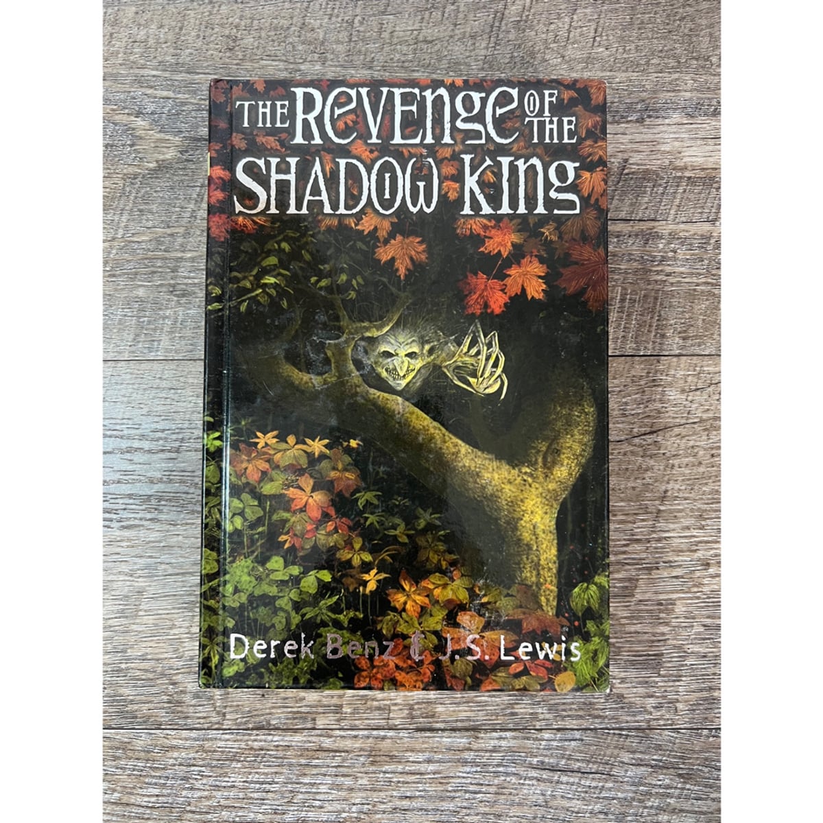 The Revenge of the Shadow King by Derek Benz; J. S. Lewis, Hardcover ...