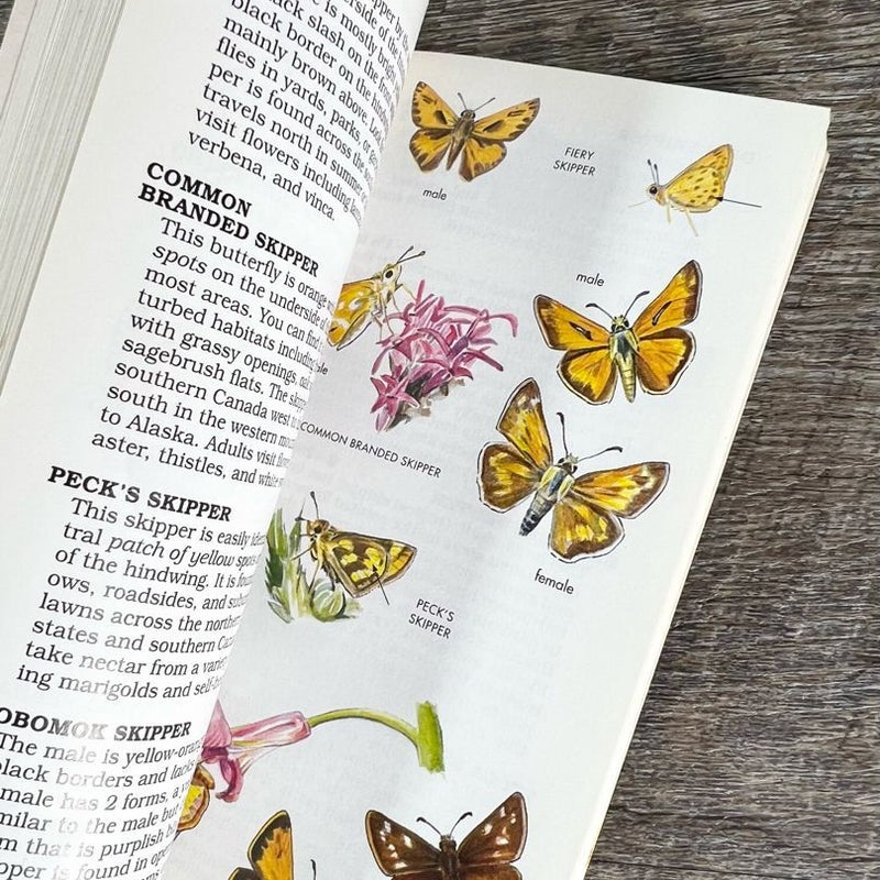Peterson First Guide to Butterflies and Moths