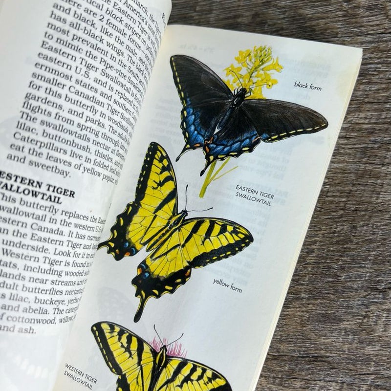 Peterson First Guide to Butterflies and Moths