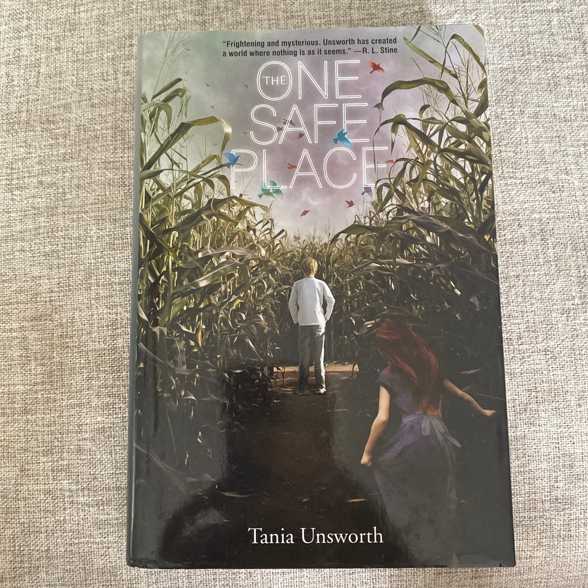 The One Safe Place by Tania Unsworth, Hardcover | Pangobooks