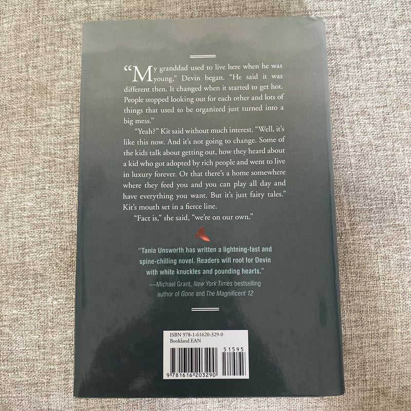 The One Safe Place by Tania Unsworth, Hardcover | Pangobooks The One Safe Place by Tania Unsworth, Hardcover | Pangobooks