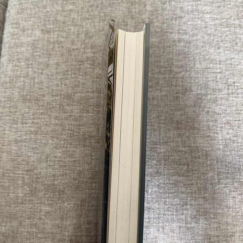 The One Safe Place by Tania Unsworth, Hardcover | Pangobooks The One Safe Place by Tania Unsworth, Hardcover | Pangobooks
