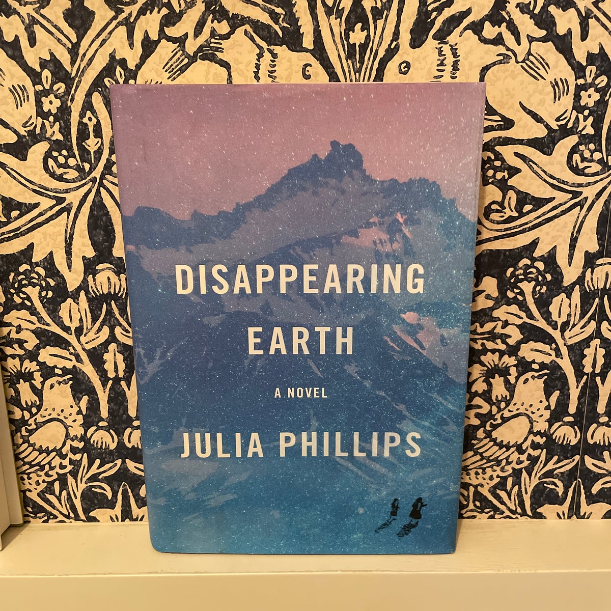 Disappearing Earth by Julia Phillips