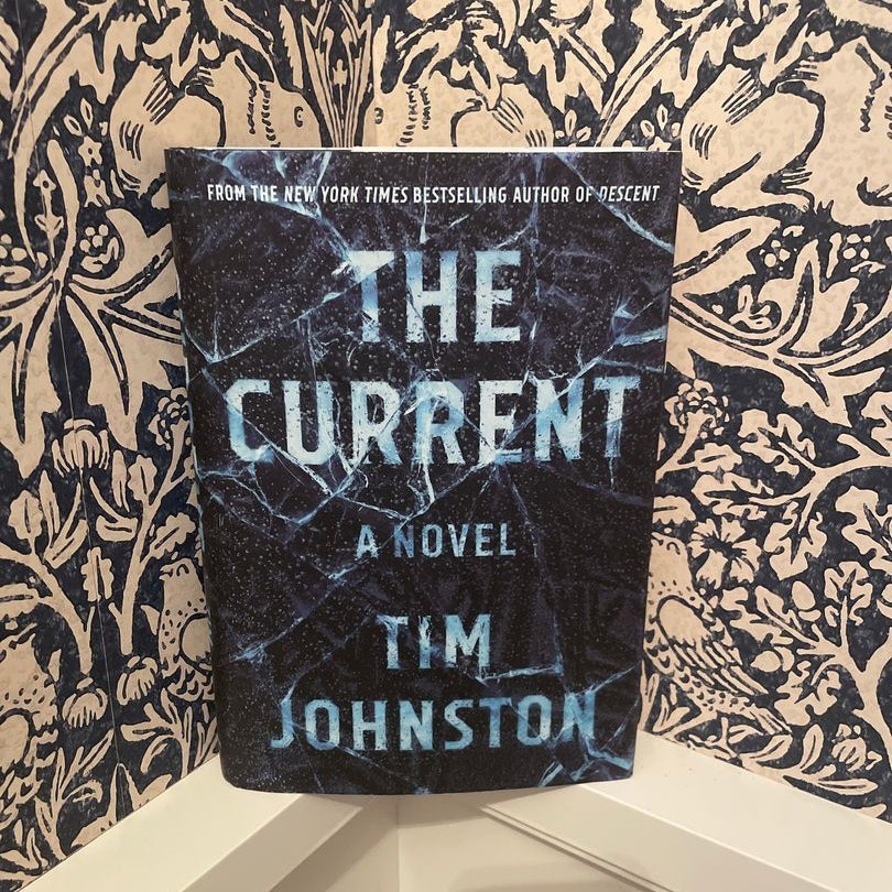 The Current by Tim Johnston
