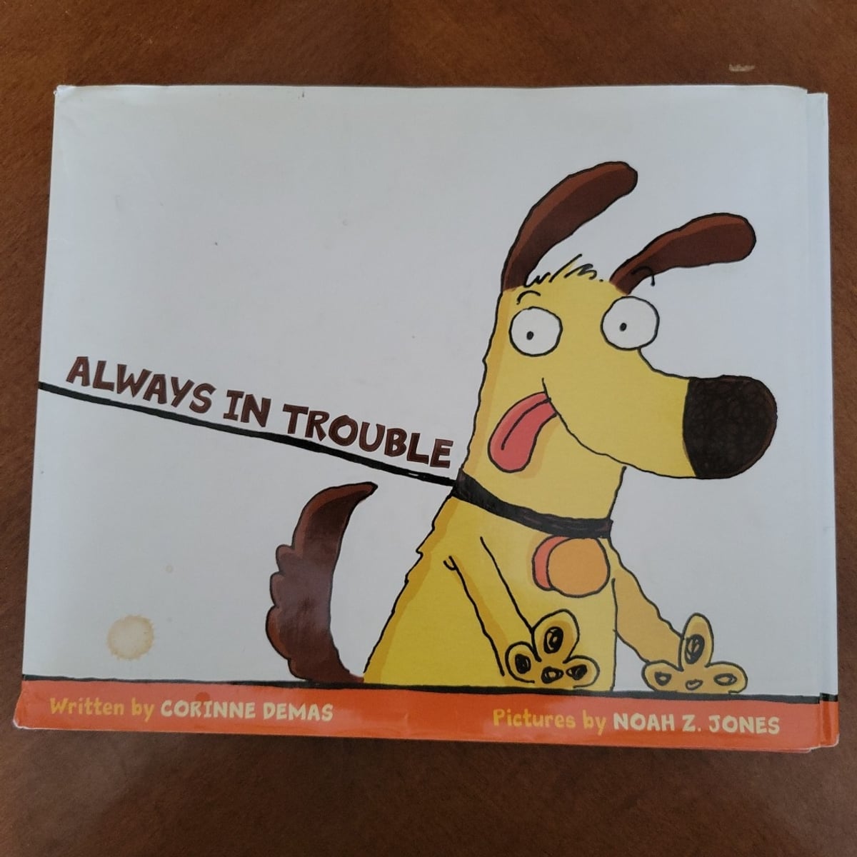 Always in Trouble by Corinne Demas