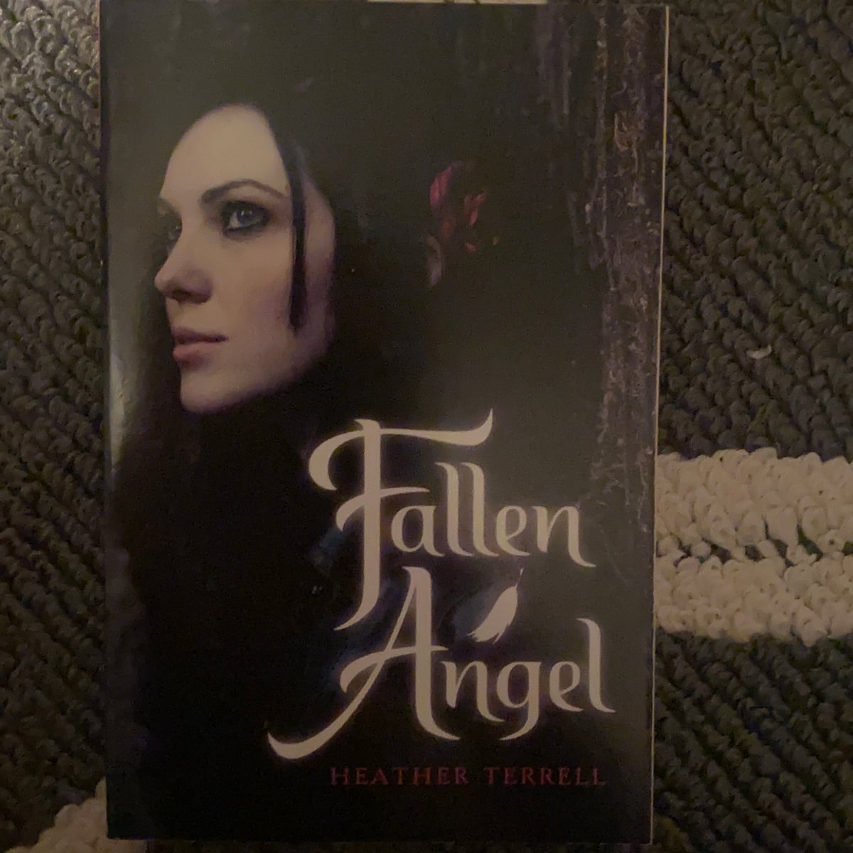 Fallen Angel by Heather Terrell