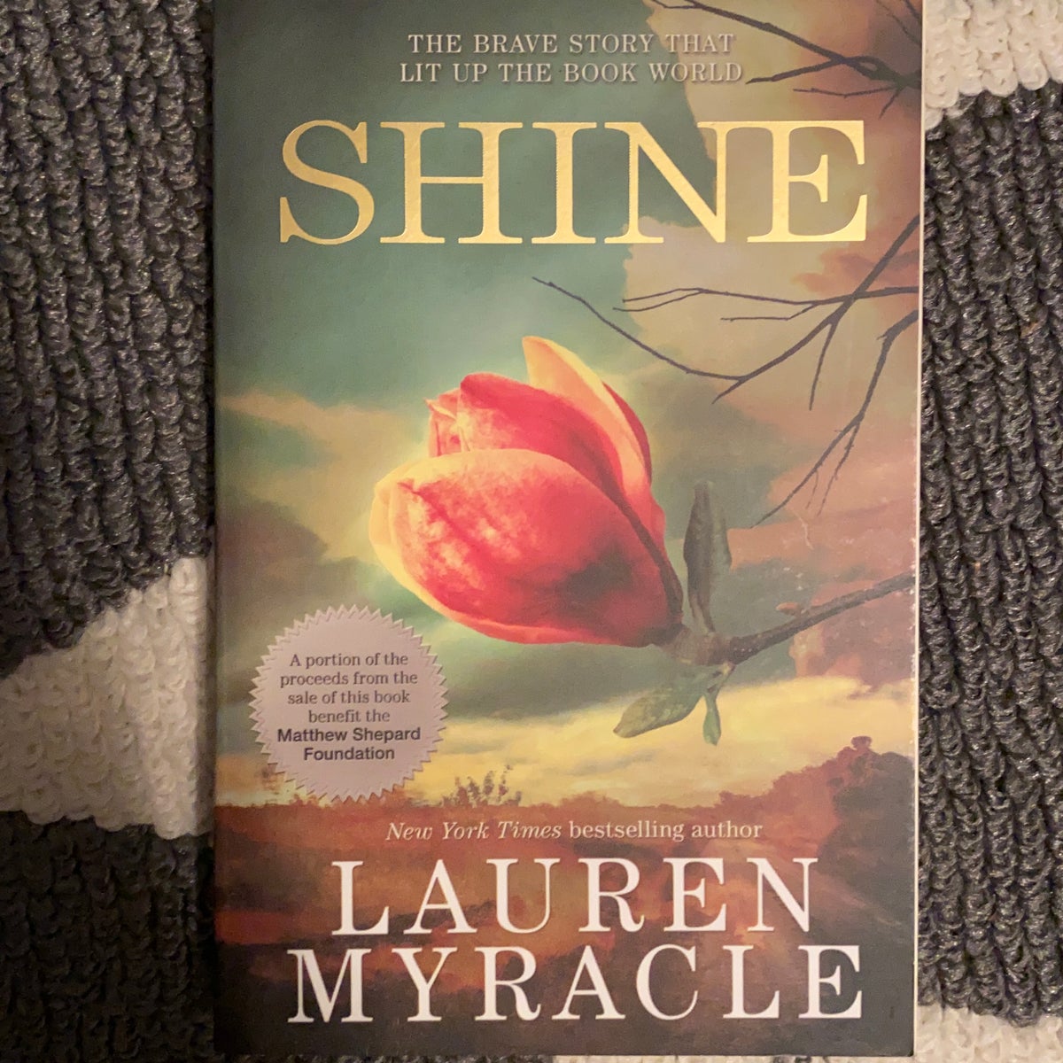 Shine by Lauren Myracle, Paperback | Pangobooks