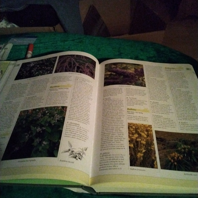 Encyclopedia Of Garden Plants By Frances Tenenbaum Hardcover Pangobooks
