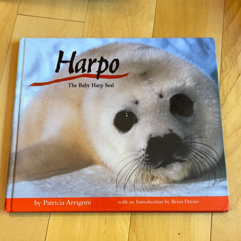 Harpo, the Baby Harp Seal by Patricia Arrigoni, Fred Bruemmer, David ...