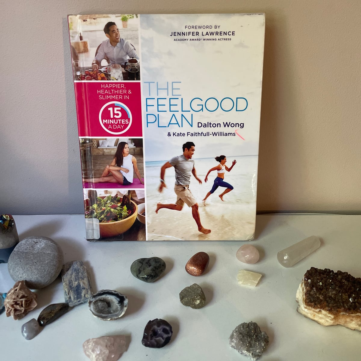 The Feelgood Plan by Kate Faithful-Williams, Hardcover | Pangobooks