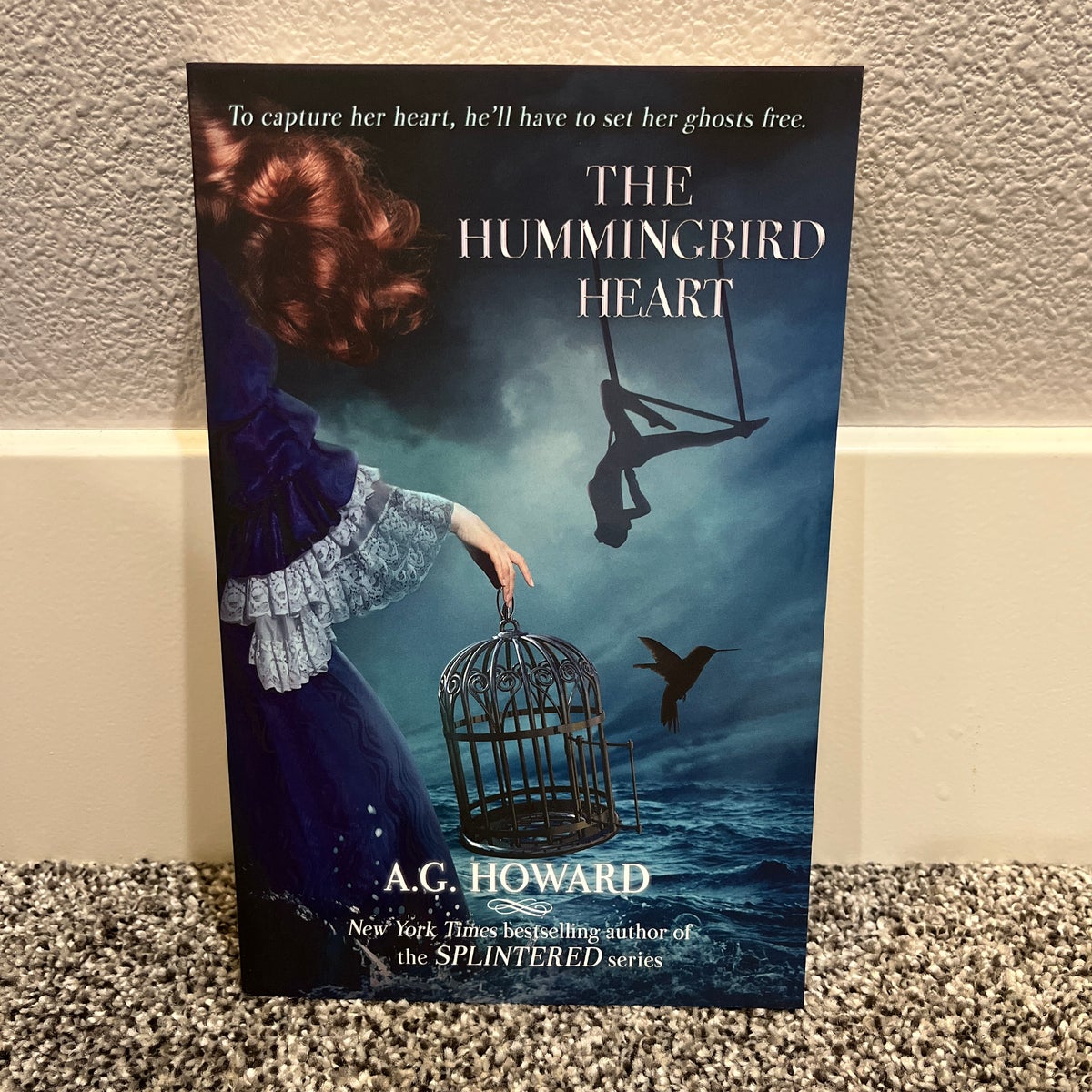 The Hummingbird Heart by A. G. Howard