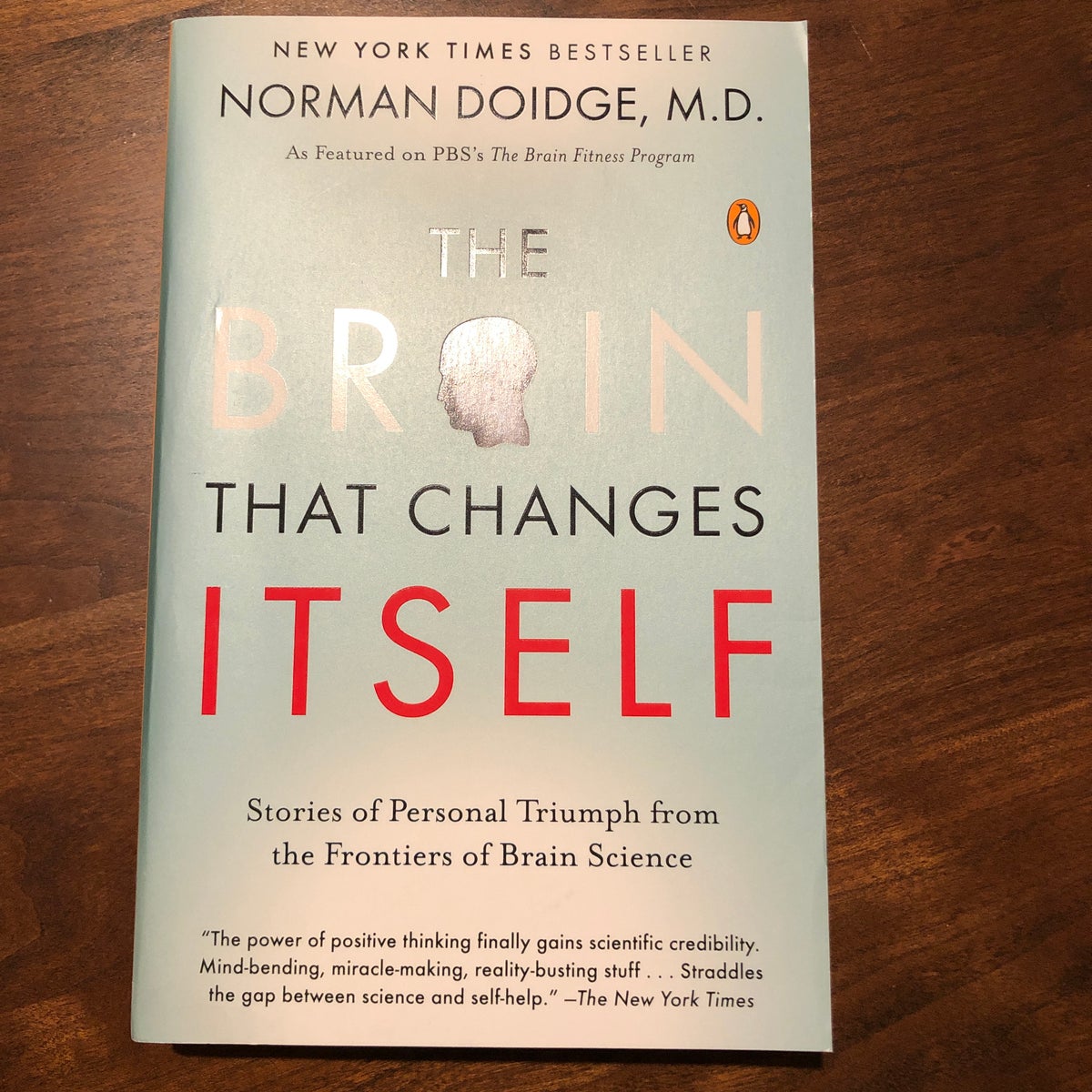 The Brain That Changes Itself