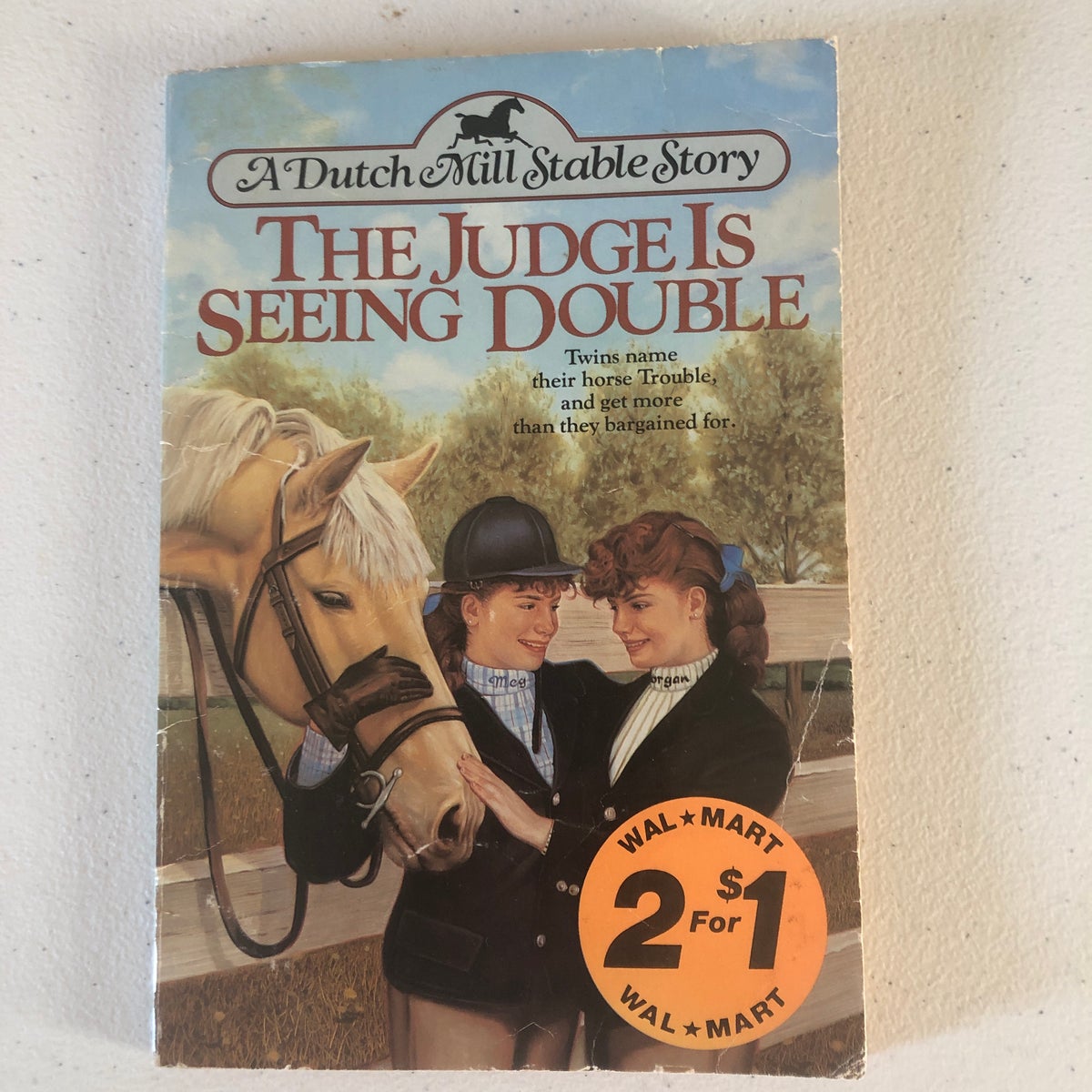 The Little Lion by Nancy Wright Beasley