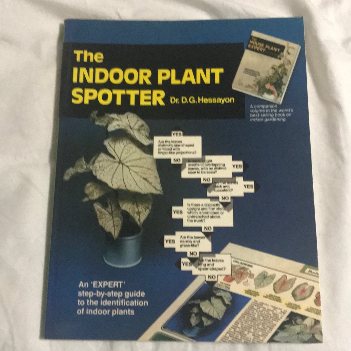 Indoor Plant Spotter by D. G. Hessayon, Paperback | Pangobooks
