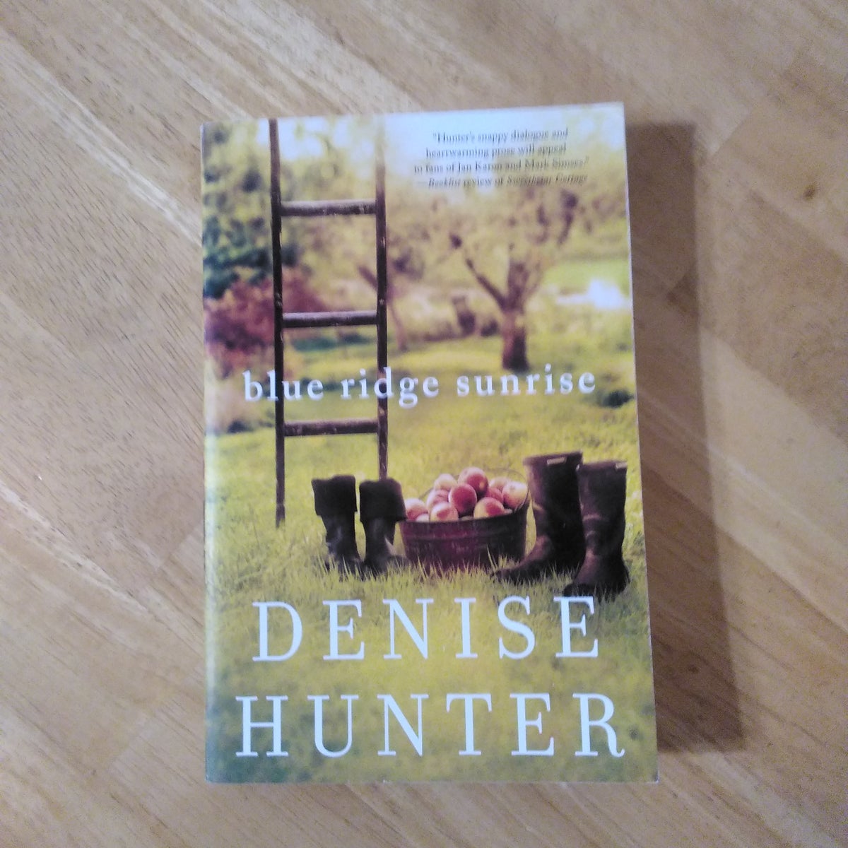 Blue Ridge Sunrise by Denise Hunter