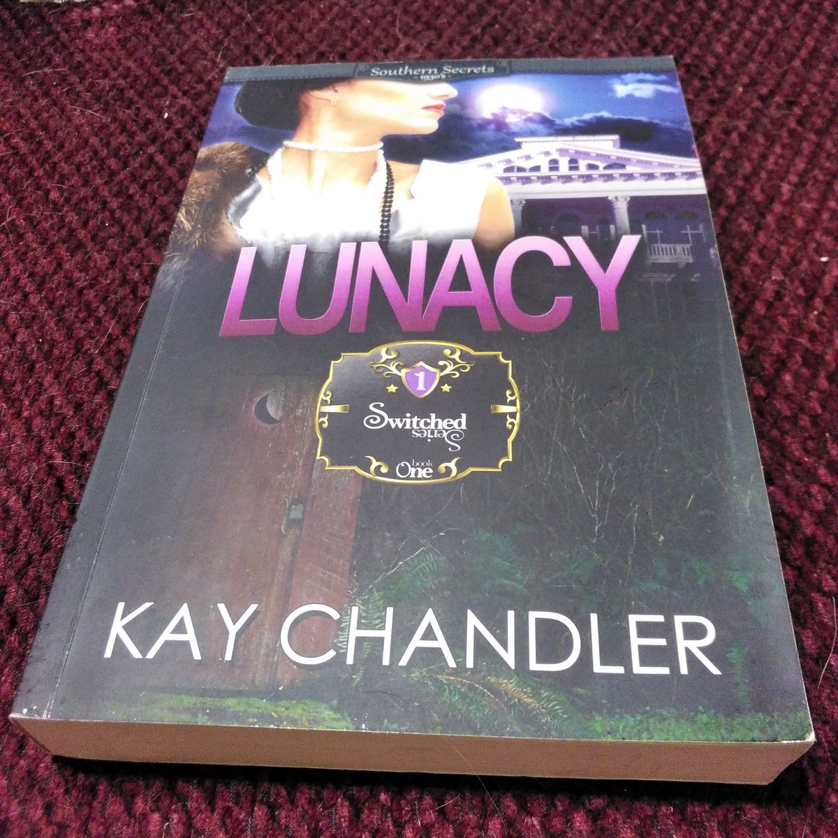 LUNACY: a 1930's Southern Fiction Romance by Kay Chandler
